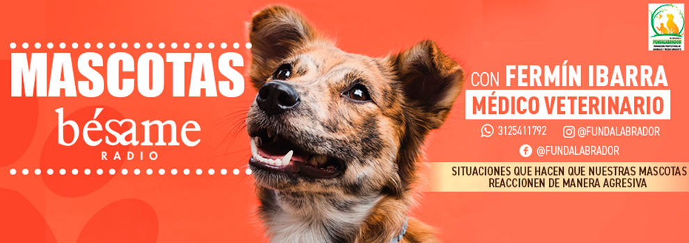 Bésame en vivo - La radio apasionada de Colombia