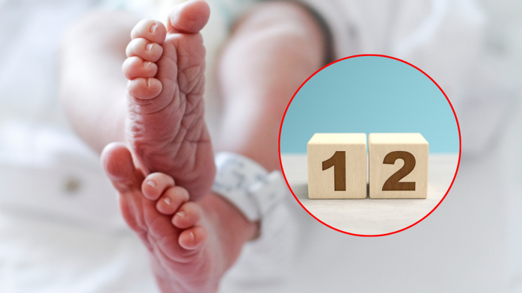 ¿Qué significa nacer el día 12? Esto dice la numerología