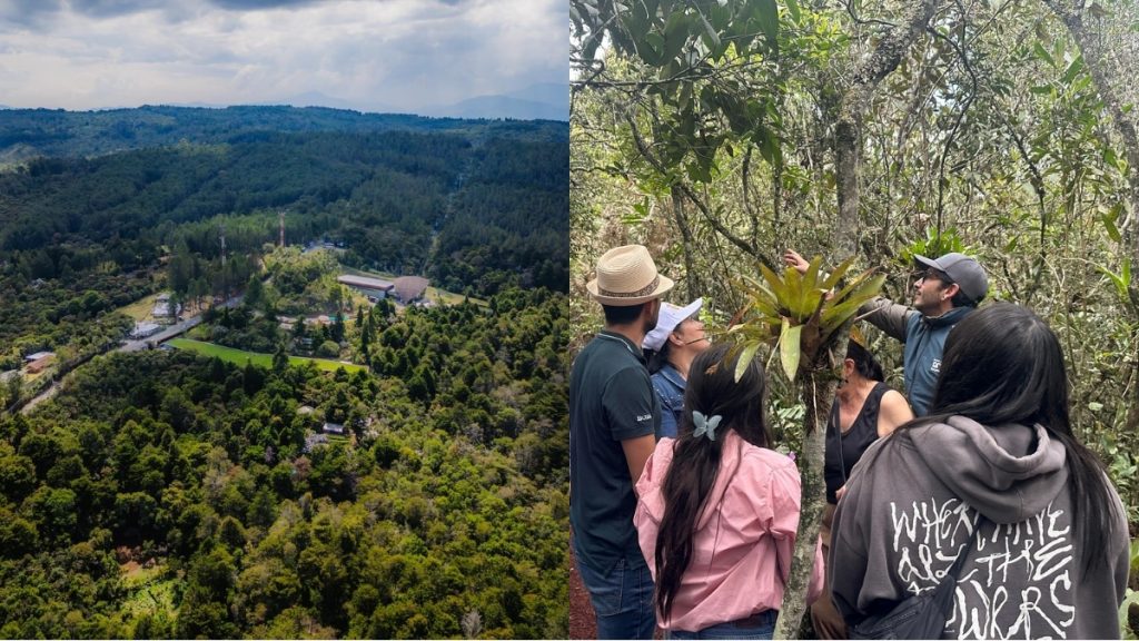 ¿Qué hay para hacer en el Parque Arví? 4 planes familiares imperdibles